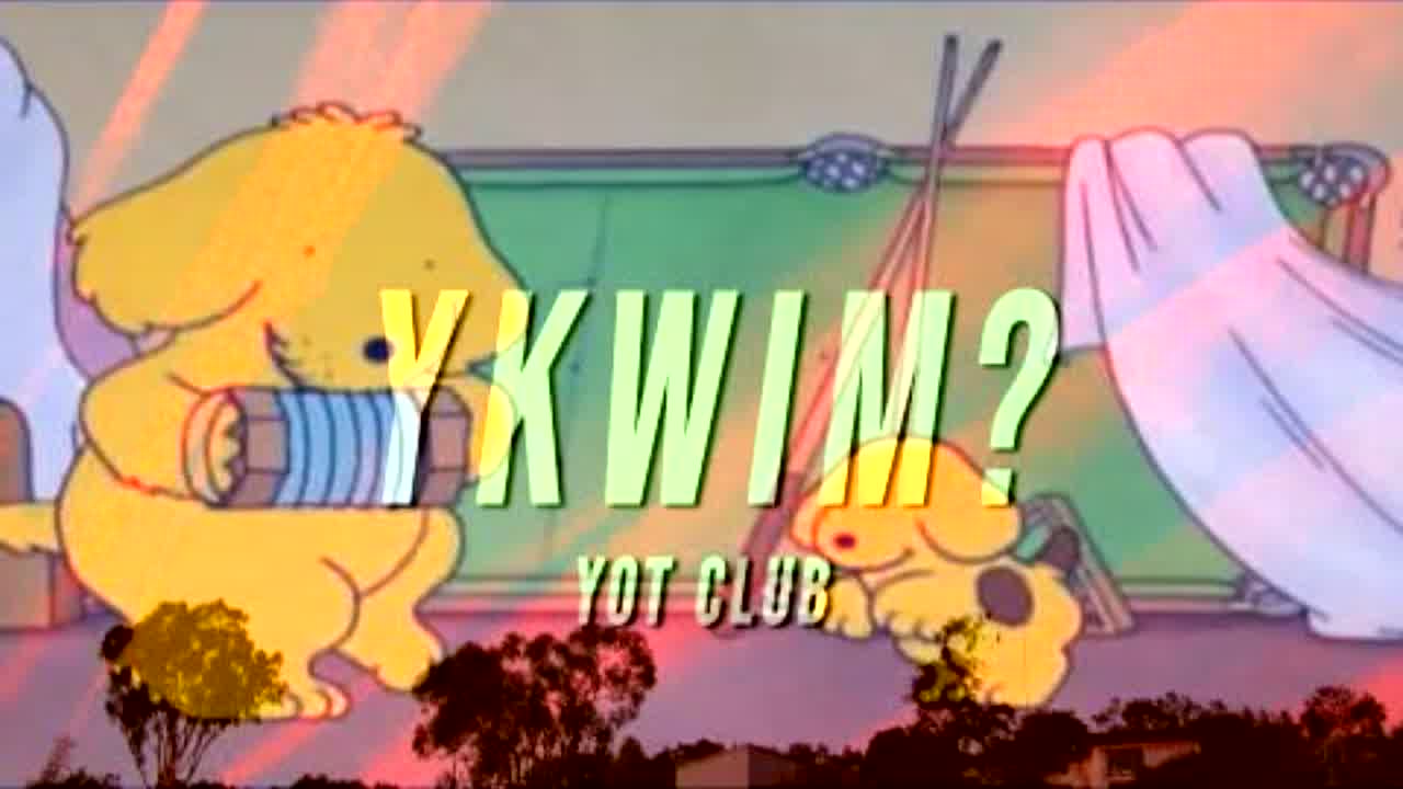 Ykwim? Shake With Spots ! - RaveDJ