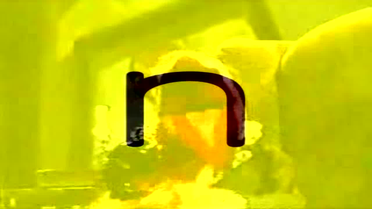 N Song Loves His Telephone - RaveDJ