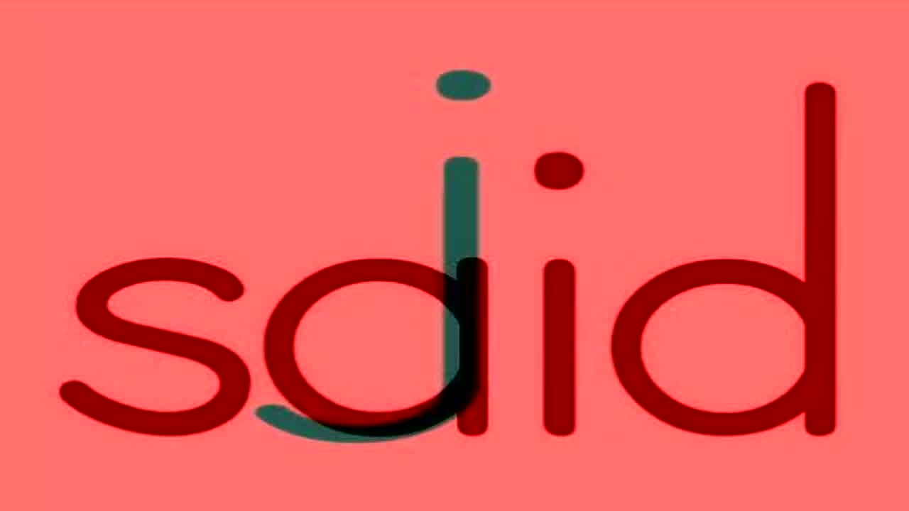 Said J Song - RaveDJ