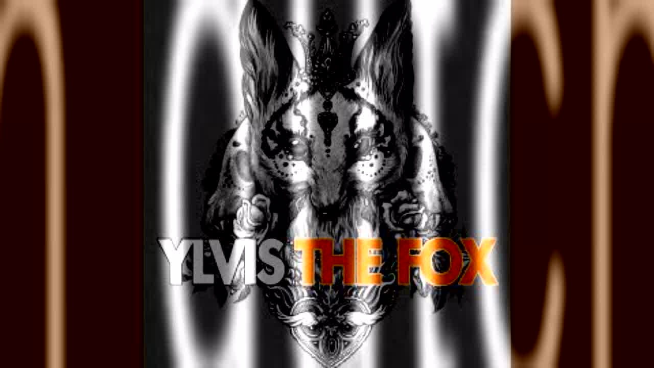 Dutch Fox - RaveDJ