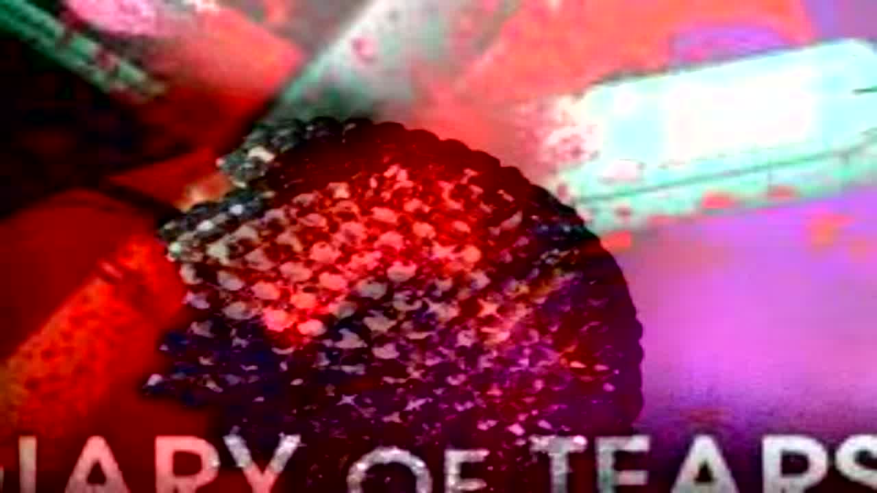 World Of Tears - RaveDJ